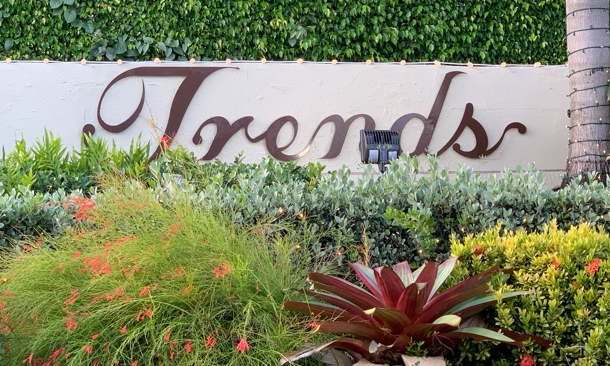 Trends Boca Raton 3 Homes for Sale | Echo Fine Properties