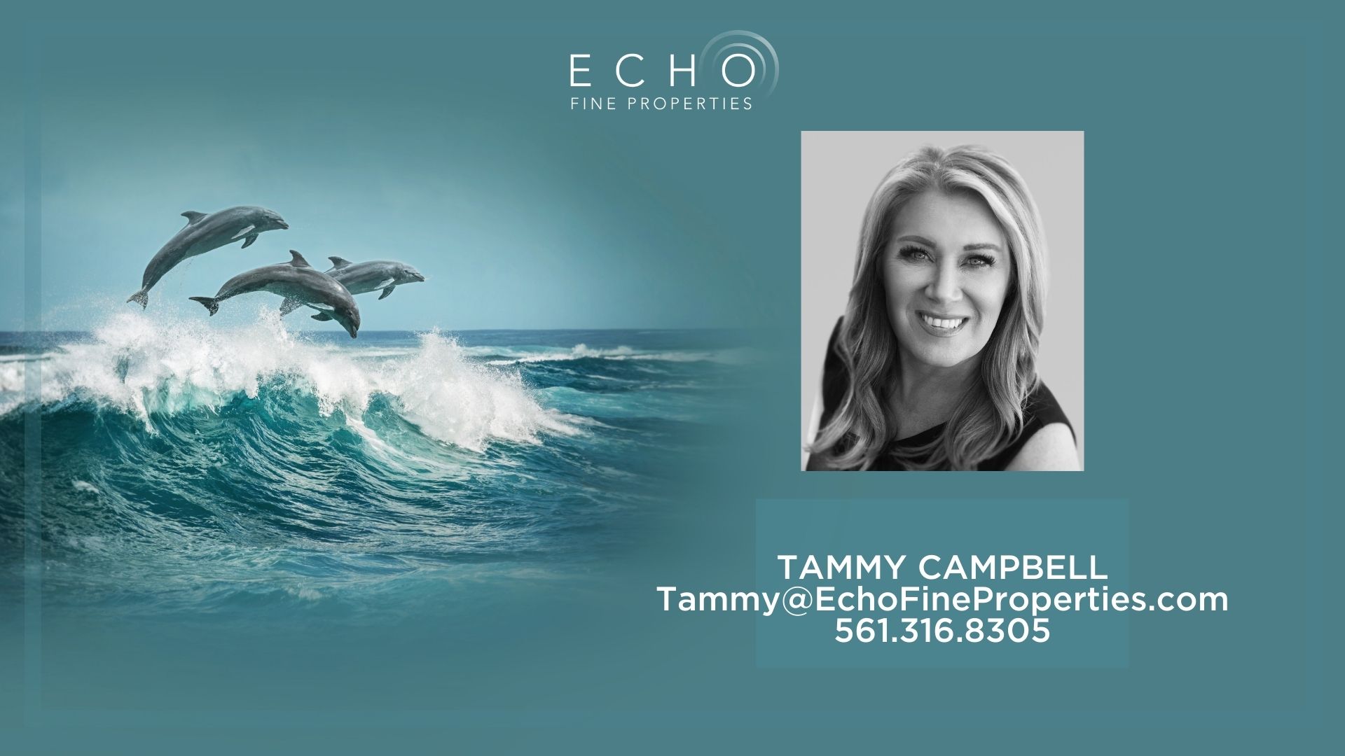 GETTING TO KNOW ECHO AGENT - TAMMY CAMPBELL!
